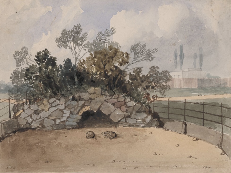 Tortoise Temples – The Folly Flaneuse